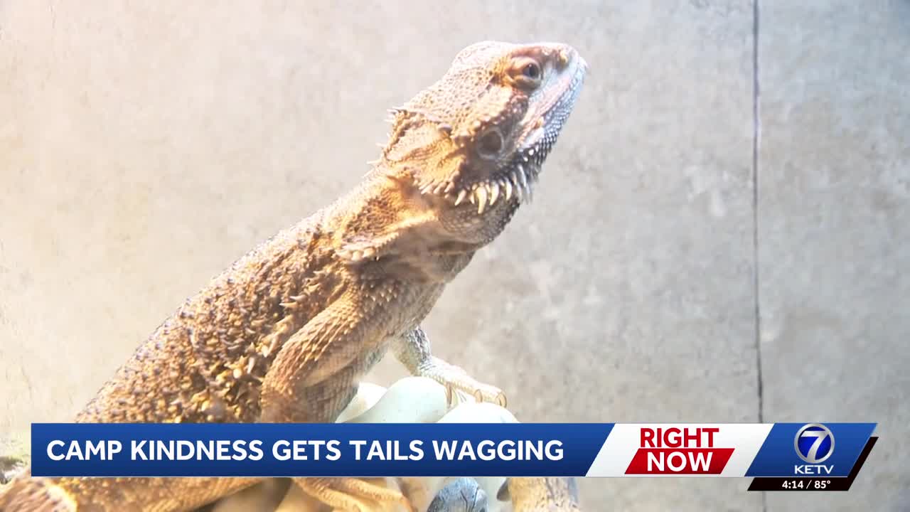 Camp Kindness exposes kids to animals