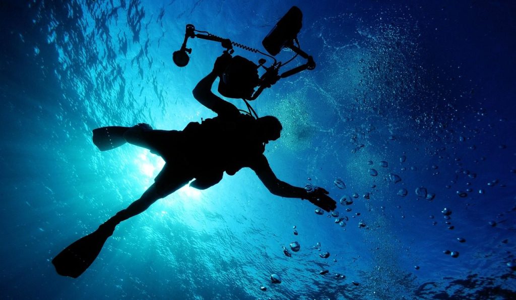 Scientists finally discover what lives inside that mysterious deep sea egg