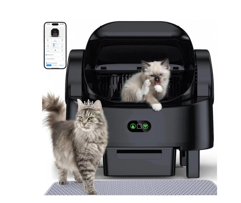 Walmart’s self-cleaning litter box is perfect for pet parents ...