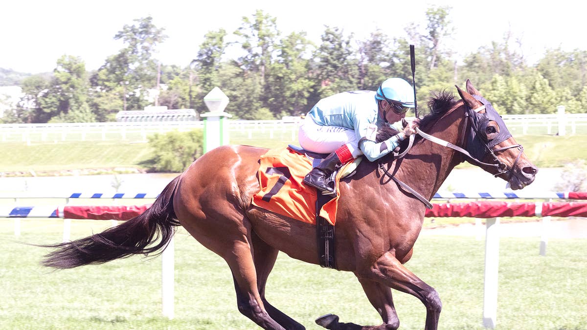 Gives it her all every time: Big Earn all heart despite losing left eye ...