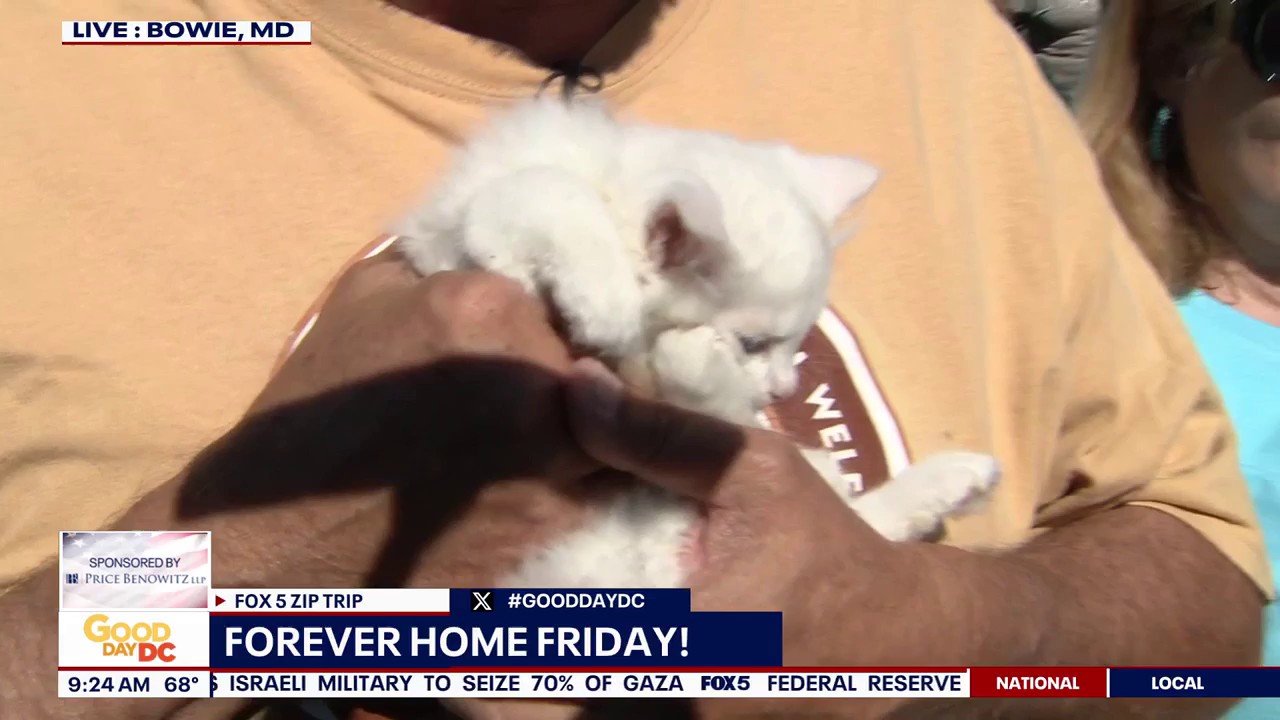 Forever home Friday: Bowie, MD