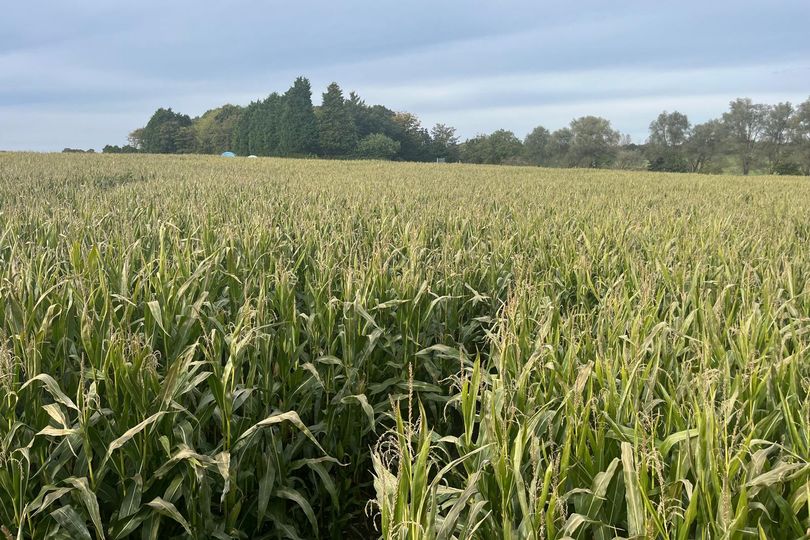 All the Midlands towns set for 26C mini heatwave with date of arrival ...