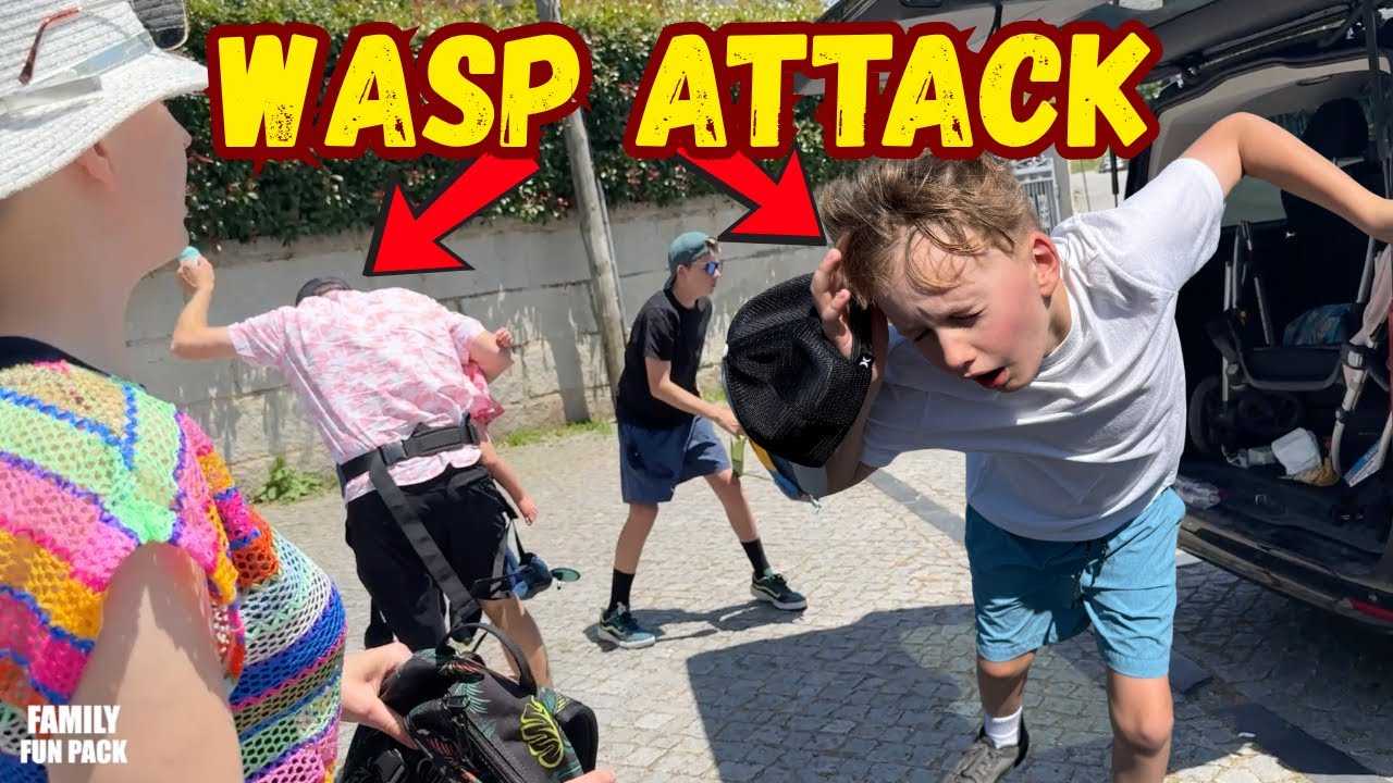 A sudden wasp attack interrupted Family Fun Pack’s Portugal adventure