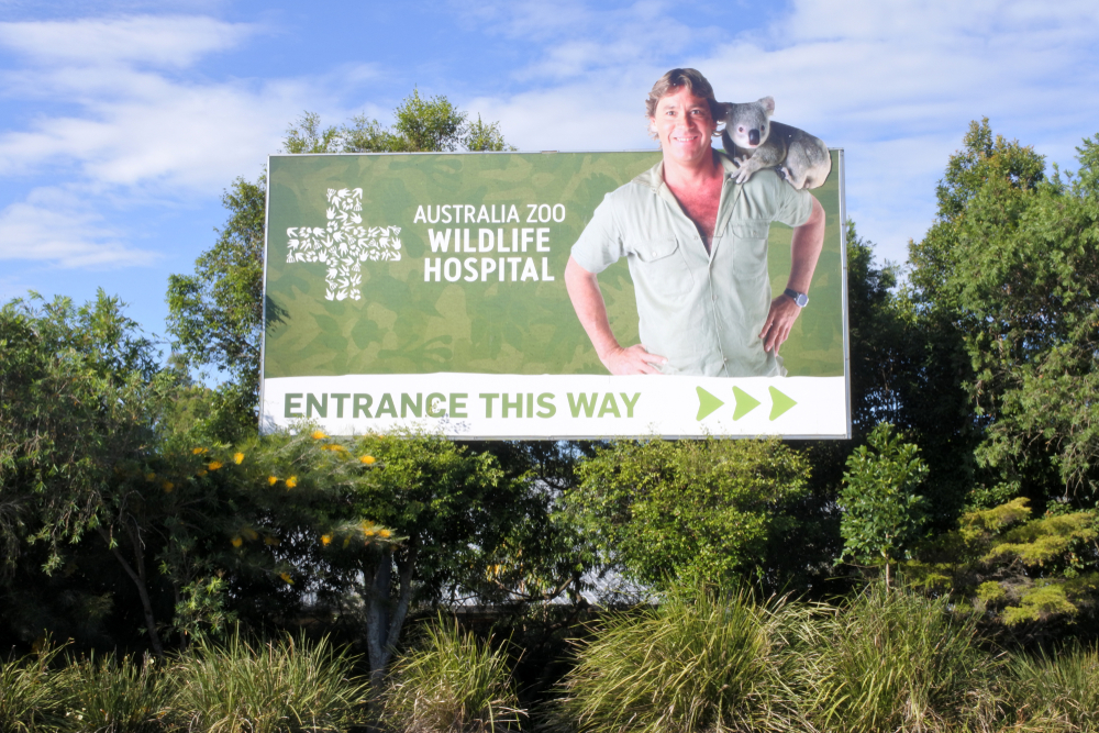 Robert Irwin 'death-rolled' by 14-foot crocodile named Jimmy Fallon
