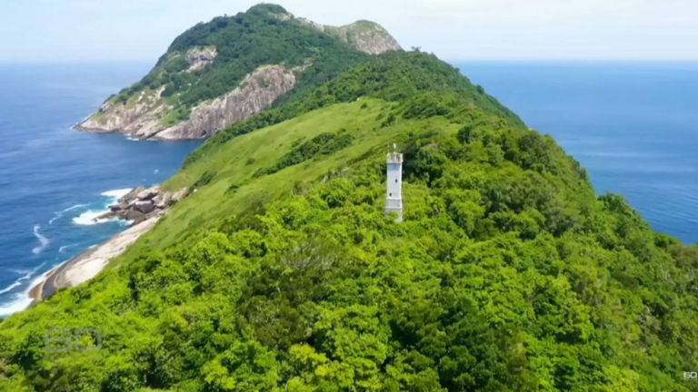 Disturbing facts about Snake Island: From tourist bans to chilling ...