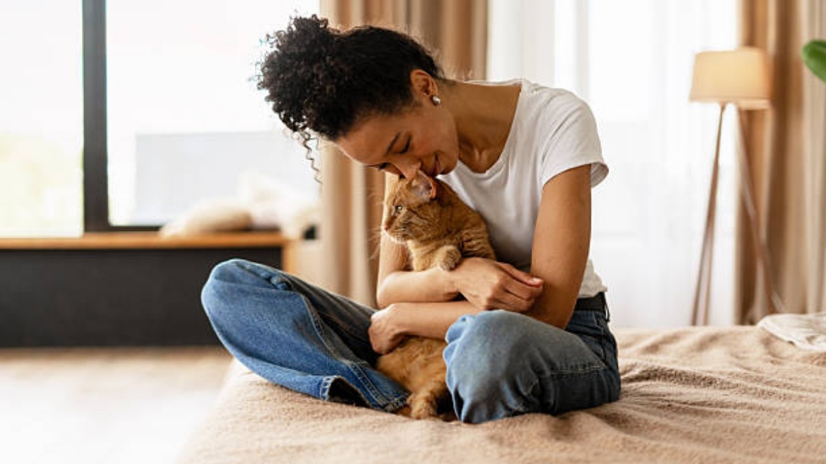 10 behaviors that reveal your cat has chosen you as its favorite person