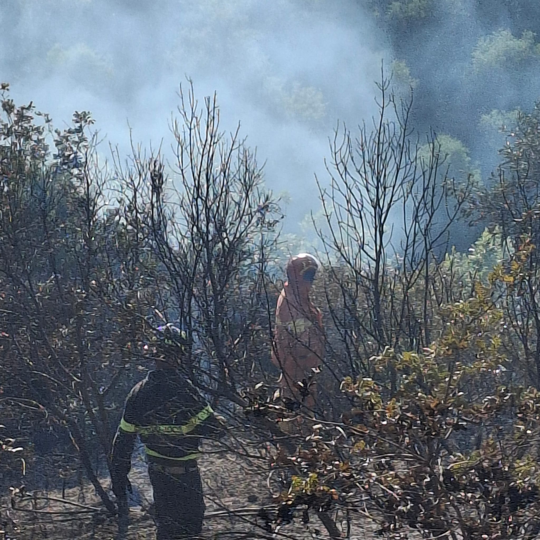 Incendio sulle colline di Capo d’Orlando, fiamme in contrada Certari