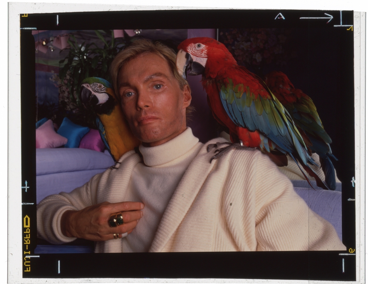 Stream it or skip it: ‘Bring Me the Beauties: A Model Cult’ on HBO, a ...
