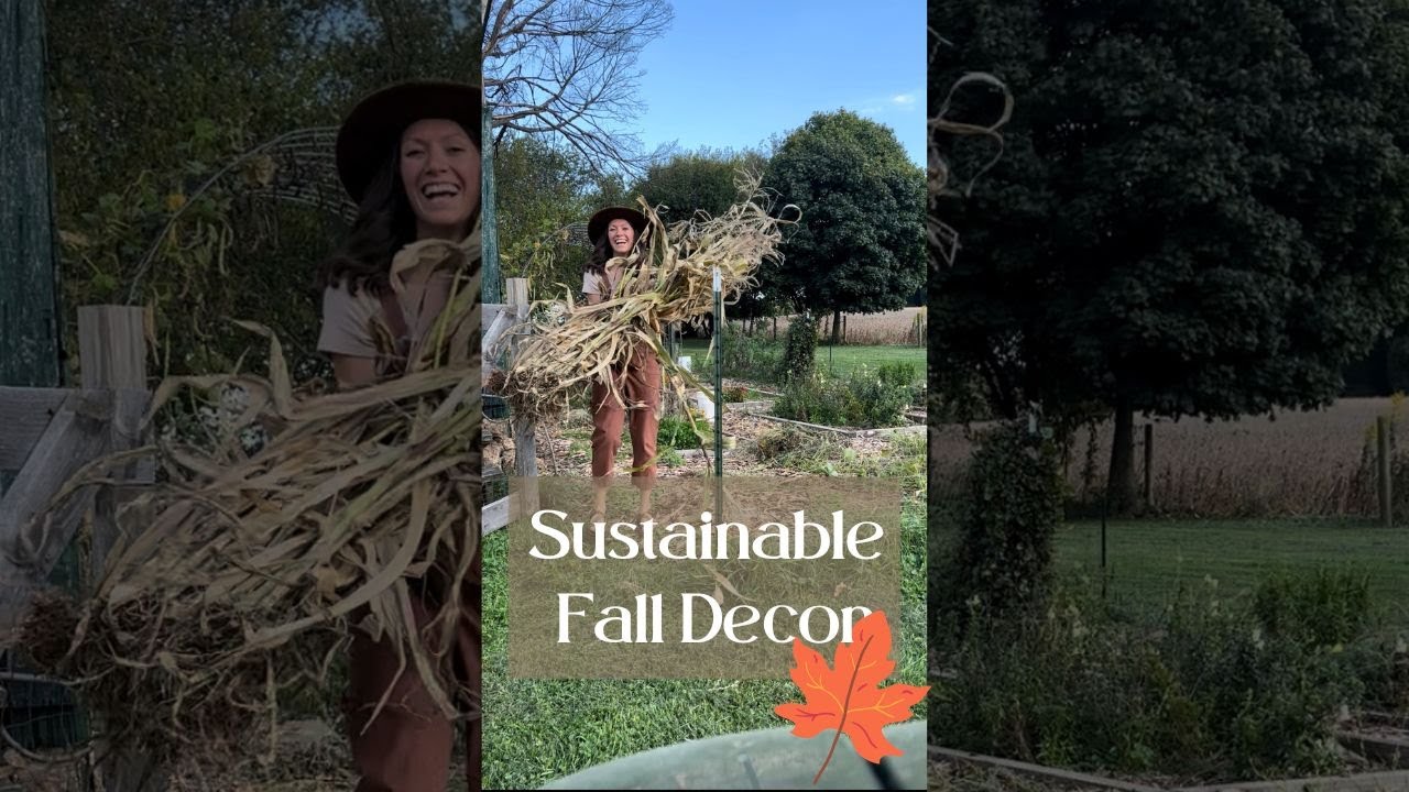 Create sustainable fall decor using simple seasonal materials