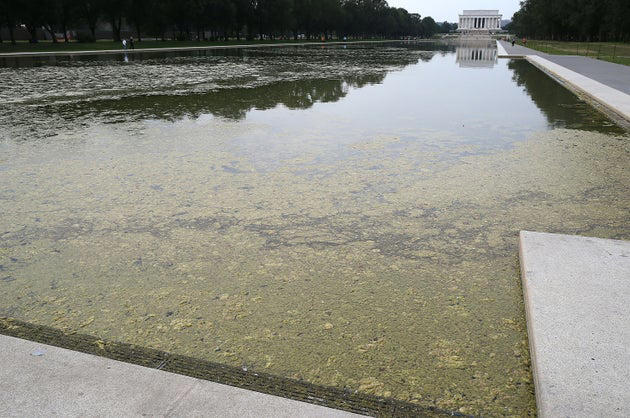 Trump is spending millions to paint reflecting pool blue. It will ...