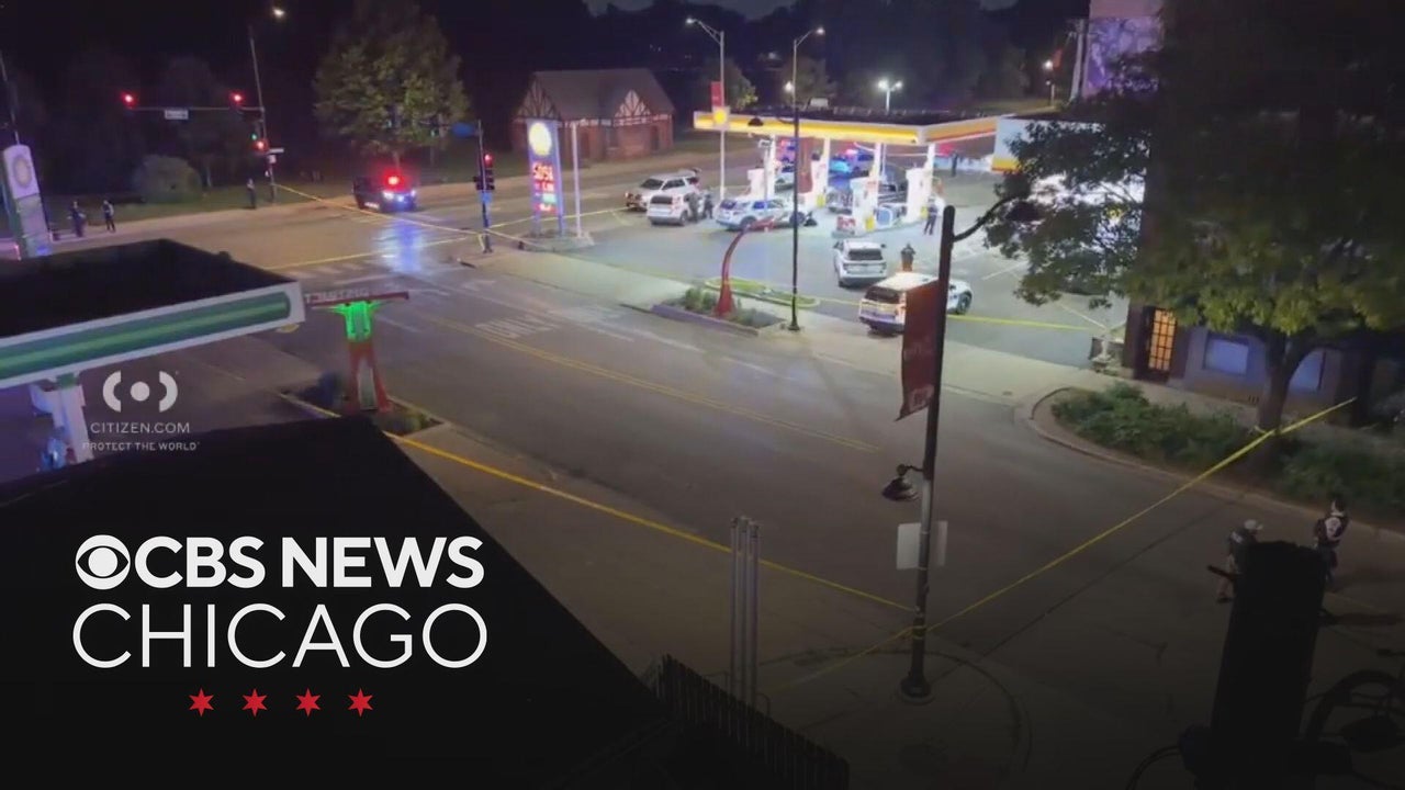 Oak Park, Illinois, police shoot, kill man after struggle for gun