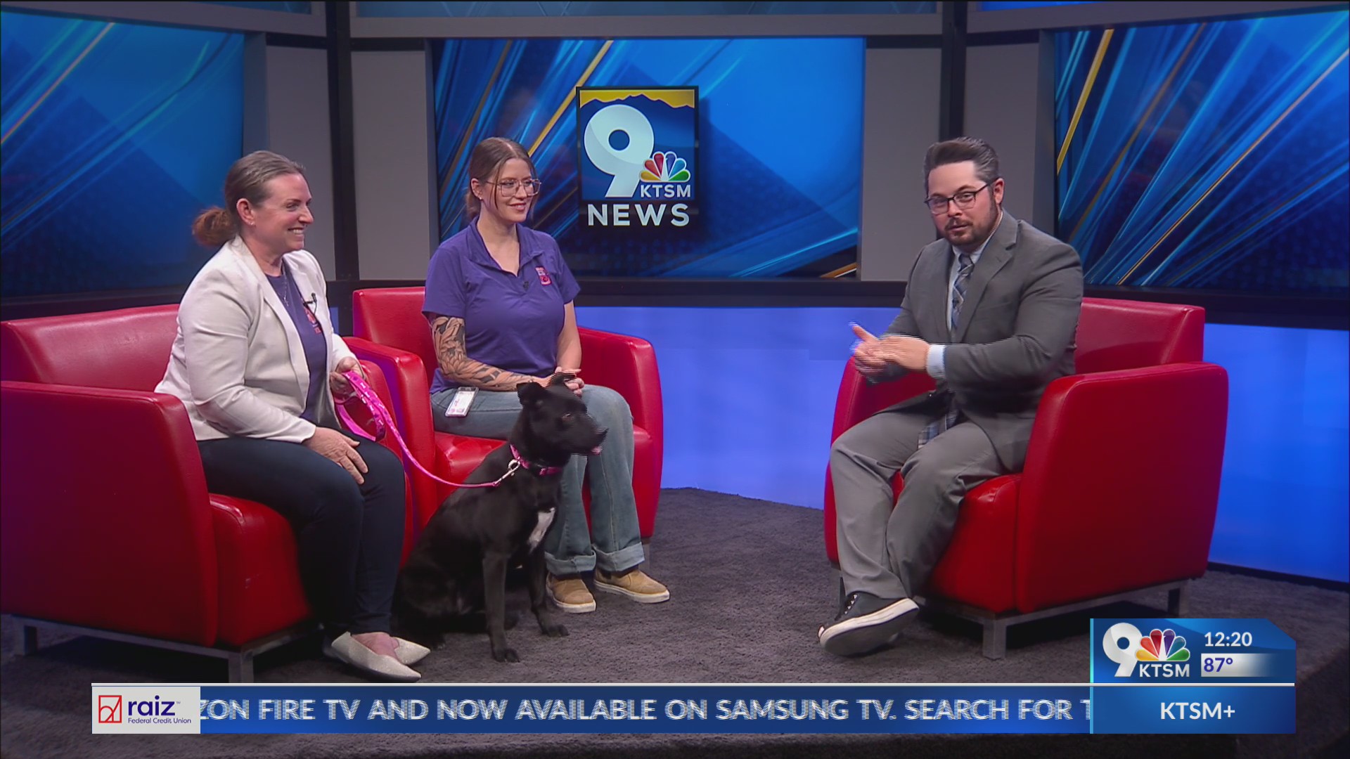 Mutt Monday: June is foster a pet month