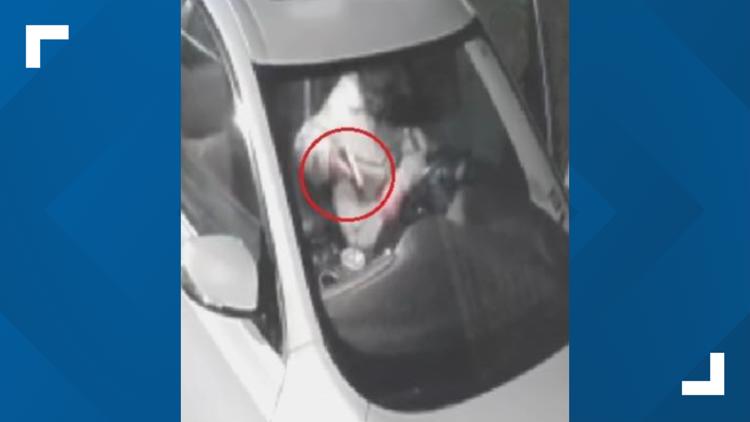 Georgetown police urge residents to remove firearms, lock vehicles ...