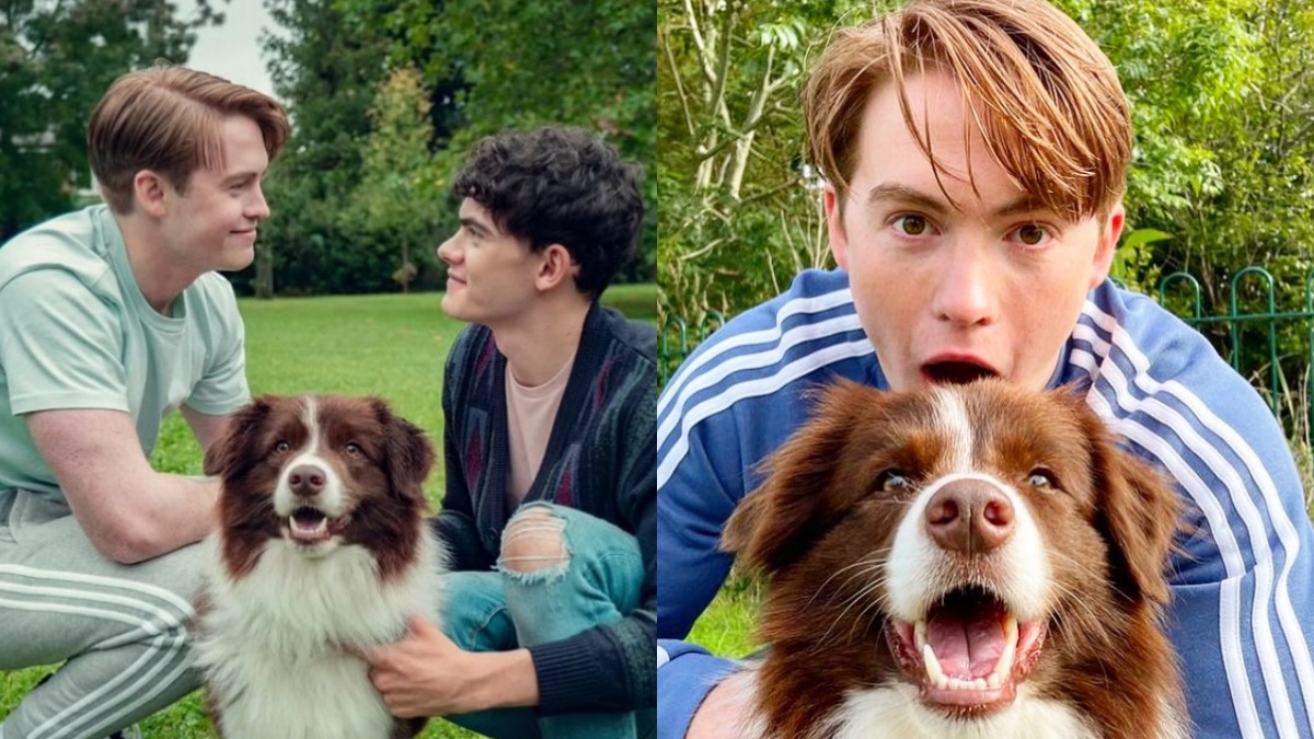 Echo, the Heartstopper dog who won the hearts of millions of Netflix ...