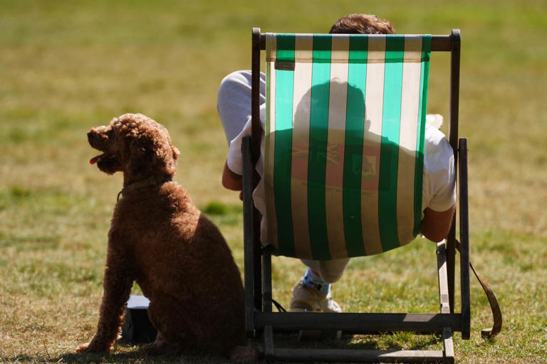 Thames Water asks Londoners to stop using hosepipes amid hot weather
