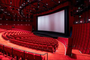 Motion Picture Academy creates new award for movie theaters