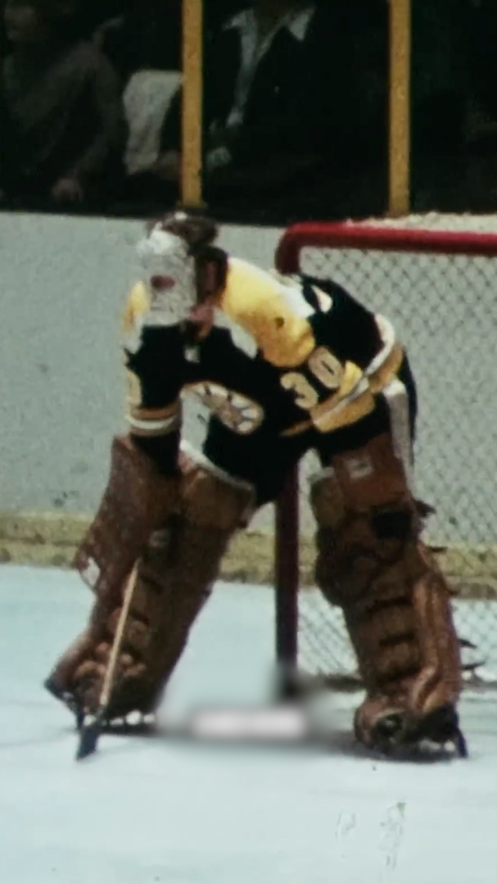 Mask that changed hockey