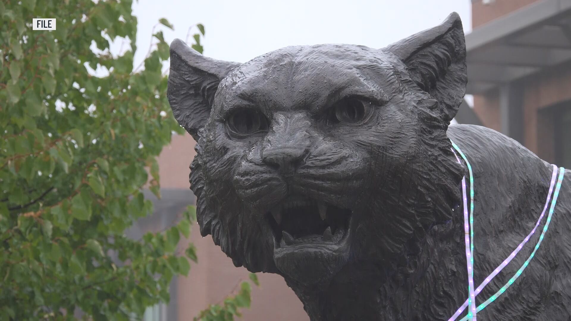 NMU Board of Trustees approve tentative faculty contract agreement