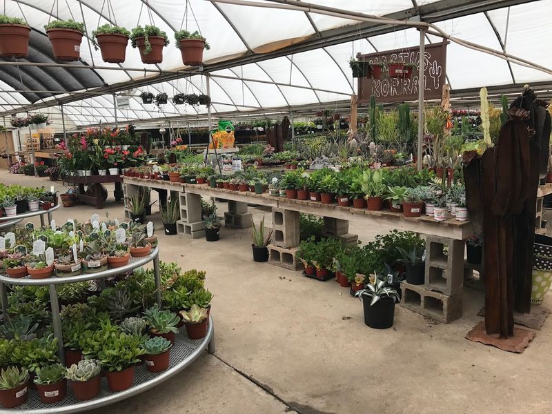 Plant lovers are fiercely gatekeeping this giant, jungle-like Oklahoma ...