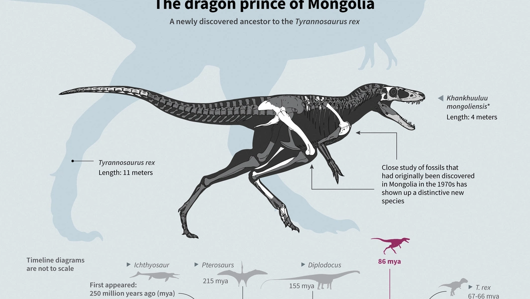 How dinosaurs rose to rule Earth