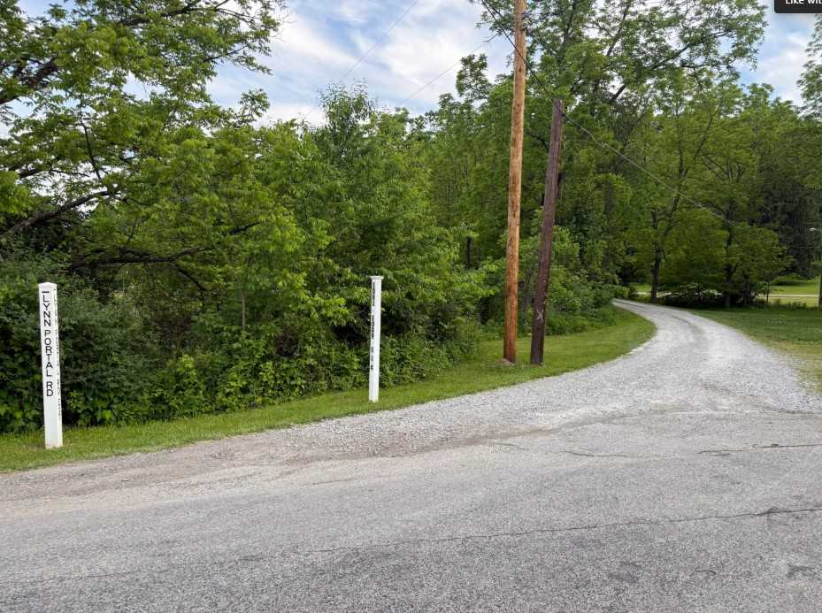 42-year-old contractor dies after being struck by tree in western Pa.