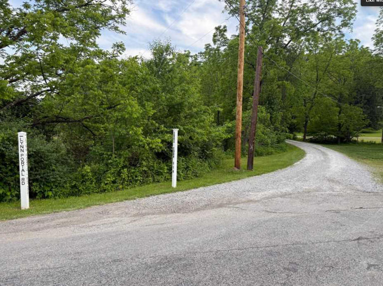 42-year-old contractor dies after being struck by tree in western Pa.