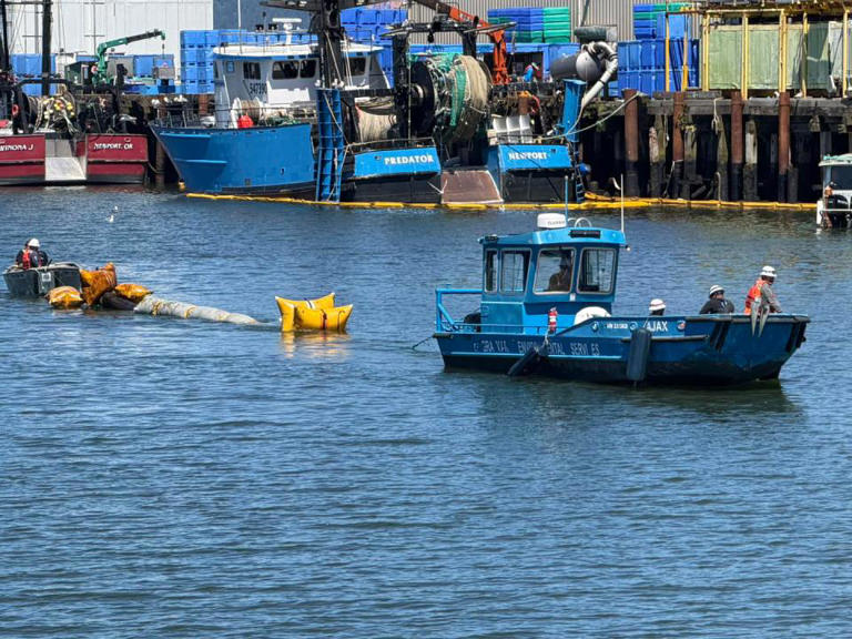 Clean up efforts continue after oil spill on Oregon coast