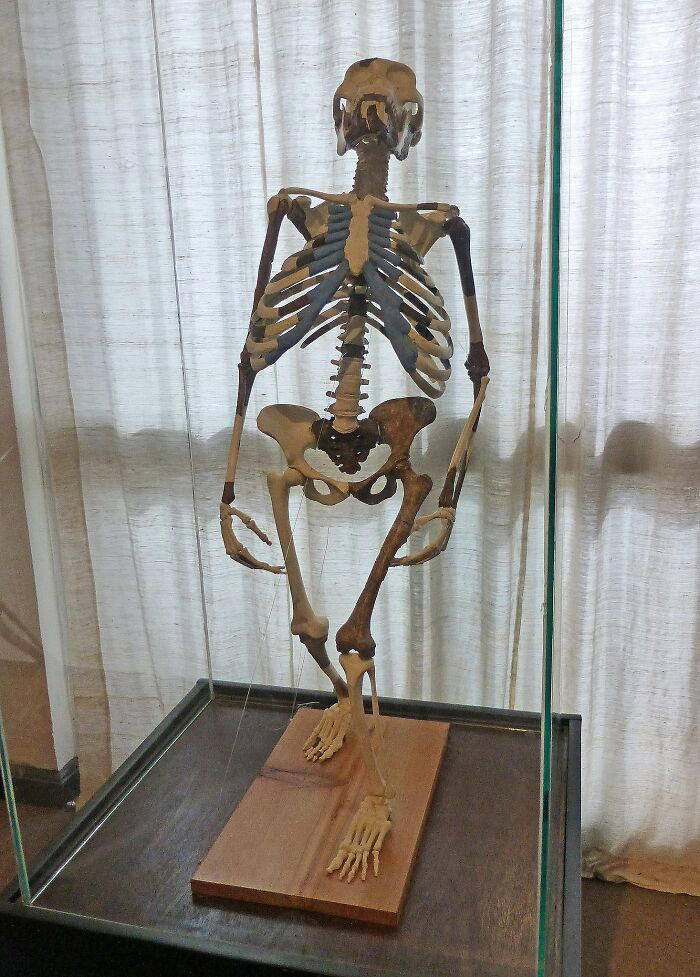 38 well-known artifacts that revealed important historical information
