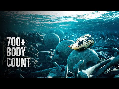 Understanding the dangers of cone snails