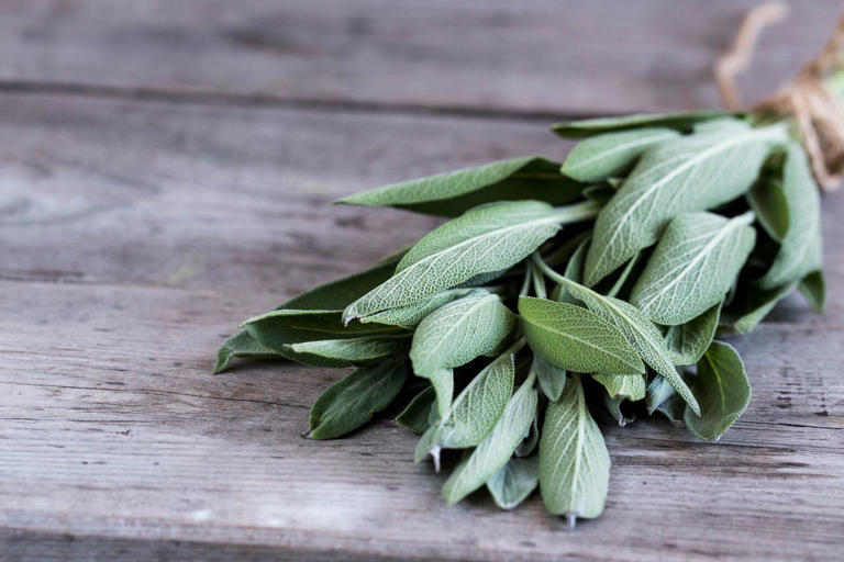 7 herbs highest in magnesium