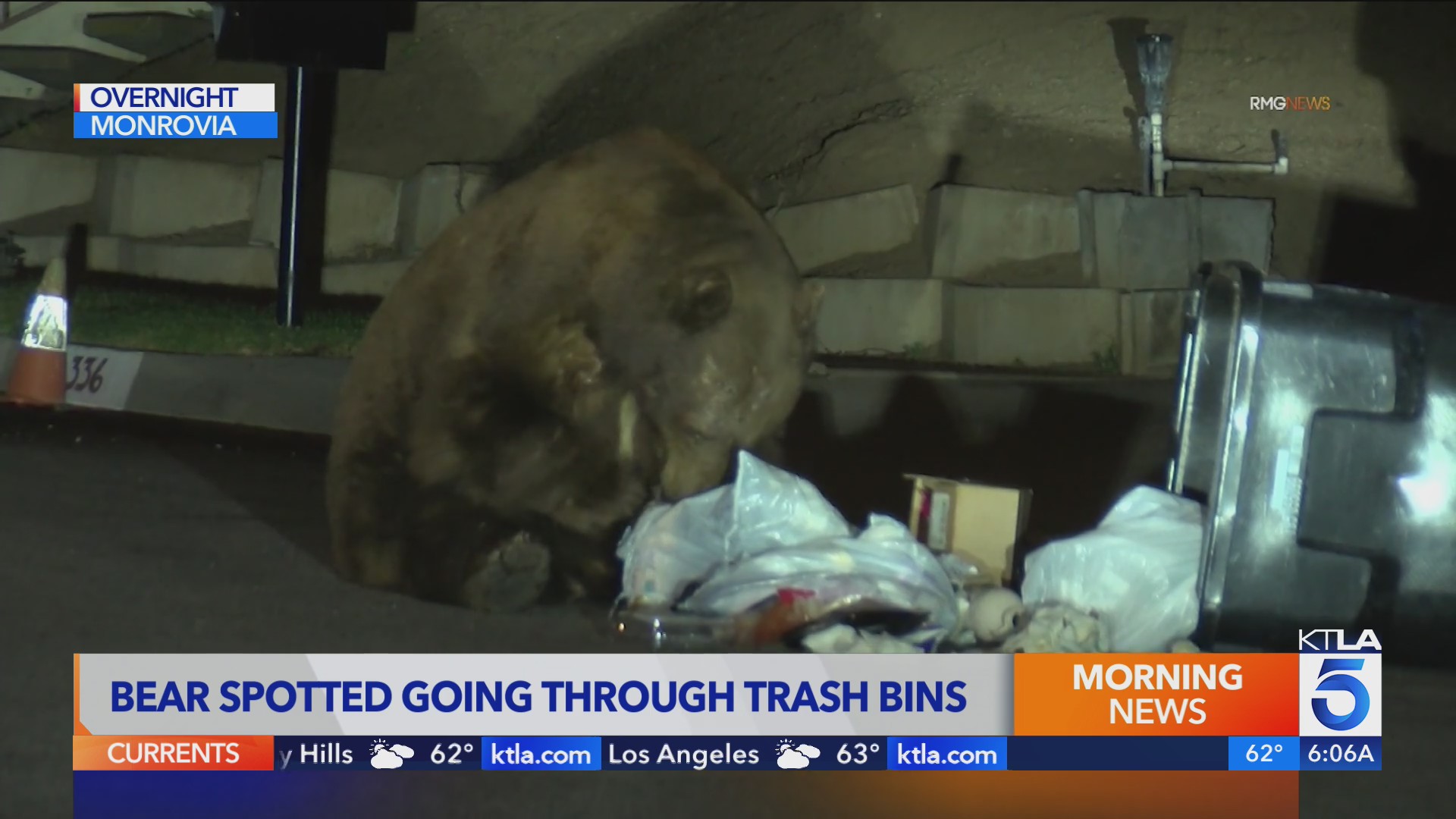 Bear enjoys sit-down breakfast after trash tipping in Monrovia