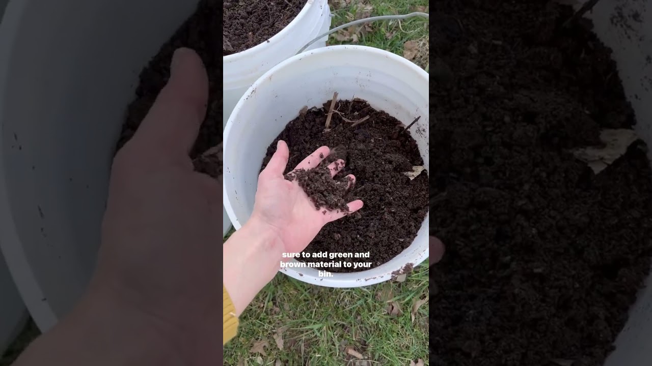 Start composting at home to reduce waste and enrich soil