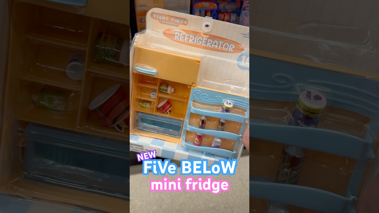 See how the $5 mini fridge find at Five Below went viral