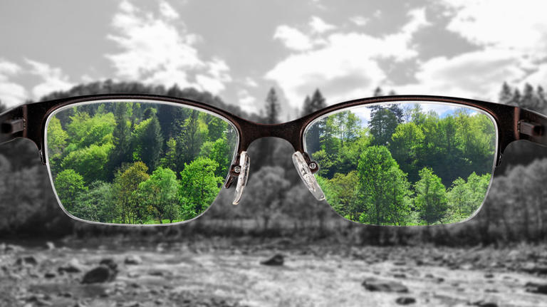 Do color blind glasses actually work? Here's what users say