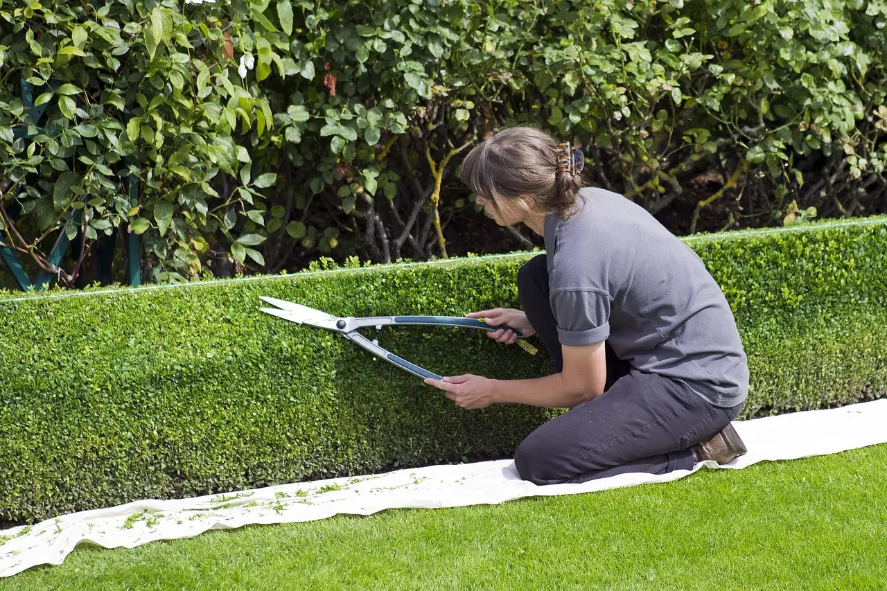 The 3-step process for sharpening your pruning shears like a pro