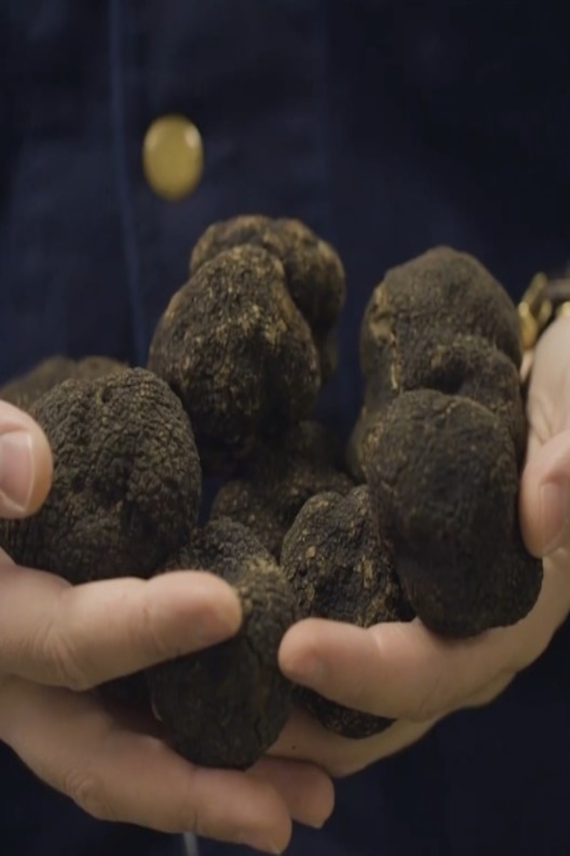 Inside the high stakes world of New York’s truffle trade