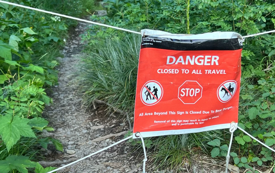 Second glacier bear encounter renews safety warnings