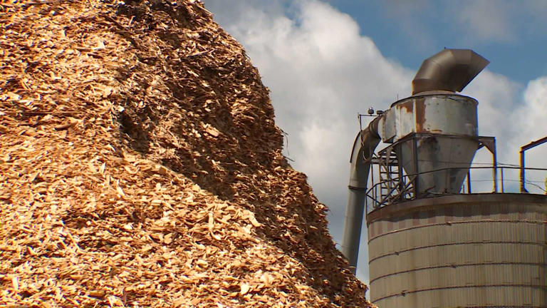 Robbins Lumber has resumed full operations following explosion at ...