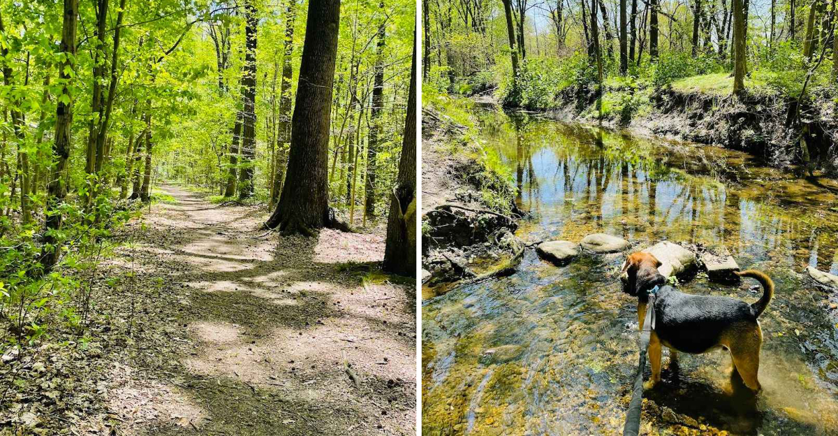 This quiet New Jersey creek winds through a nature preserve with paved ...