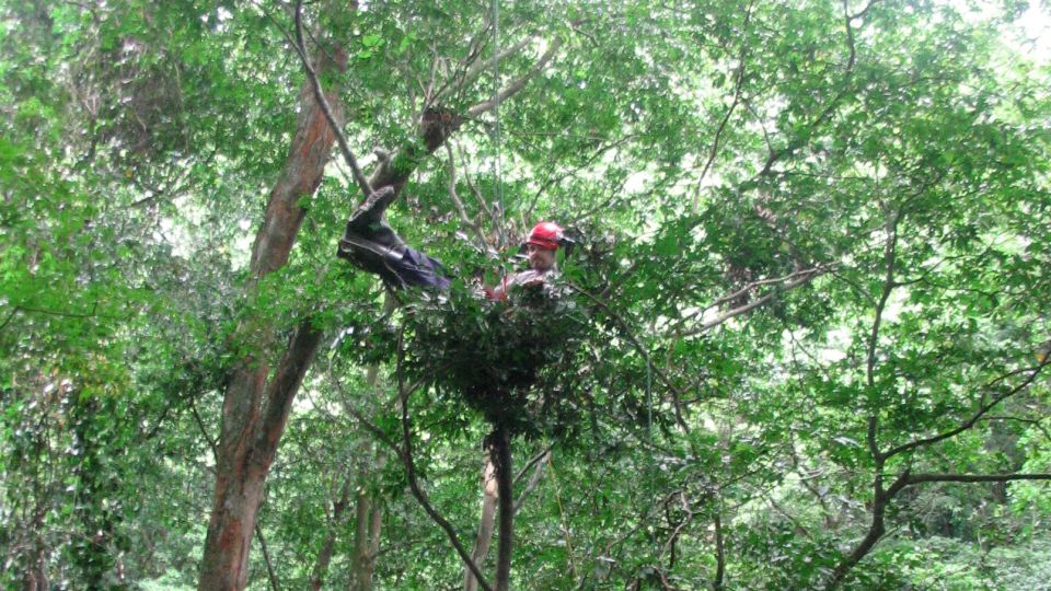 One way to improve your sleep? Imitate the habits of hunter-gatherers