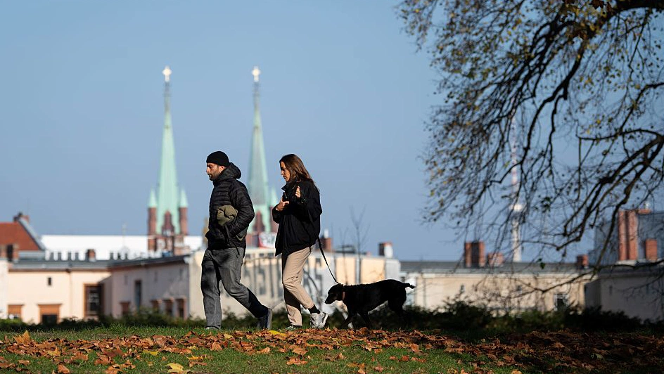 Study shows one-hour nature walk reduces brain stress activity