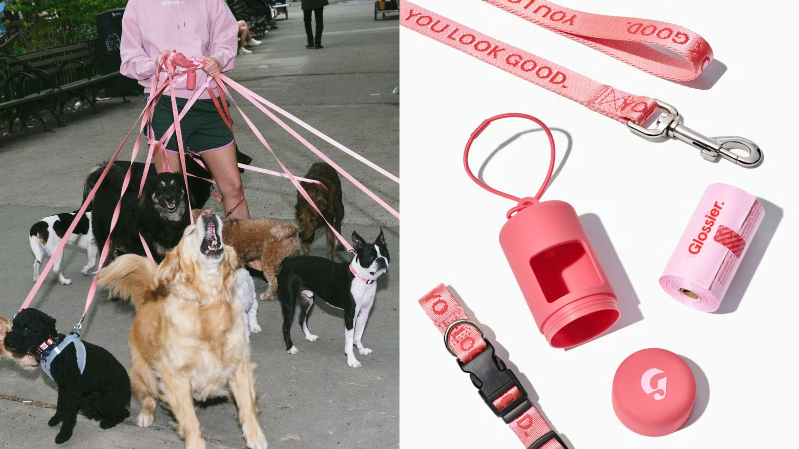 Glossier just launched millennial pink dog poo bags. No, really