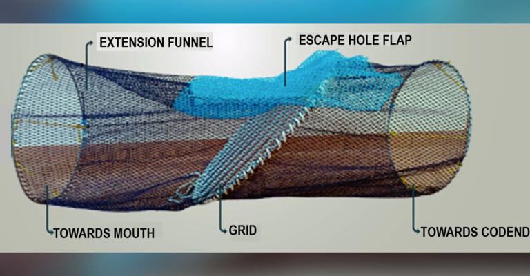 MPEDA eyes 100% turtle excluder device adoption within a year to ...