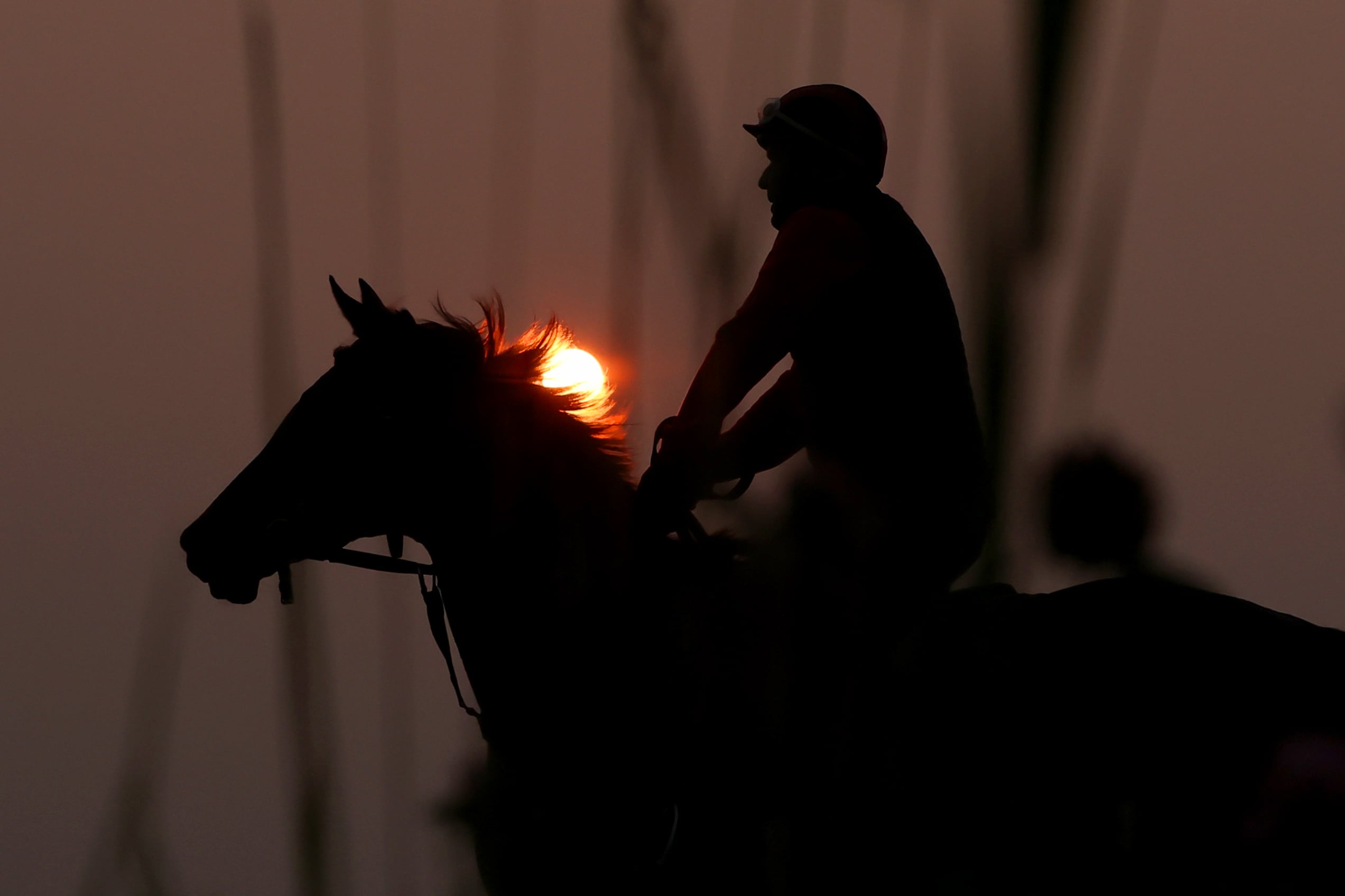 Crude Velocity heads deep Woody Stephens field at Saratoga
