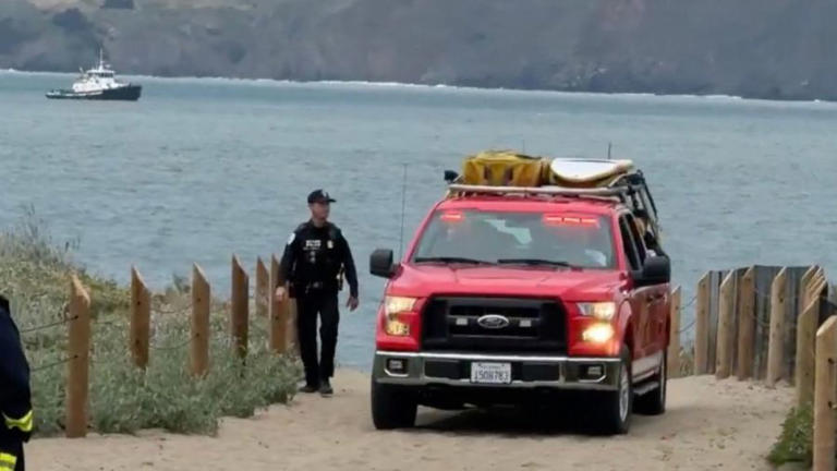 Fisherman sucked into sea from shore by 'sneaker wave'