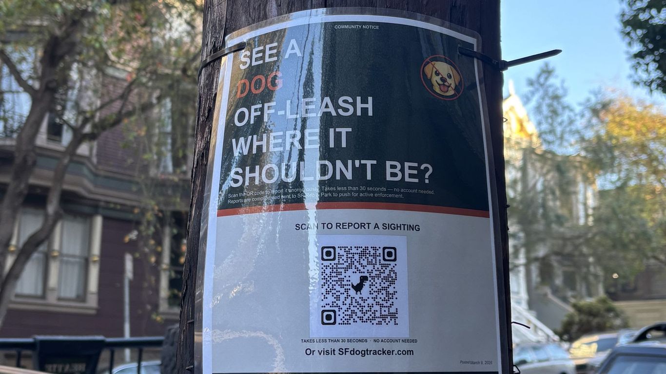 Inside San Francisco's off-leash dog culture war
