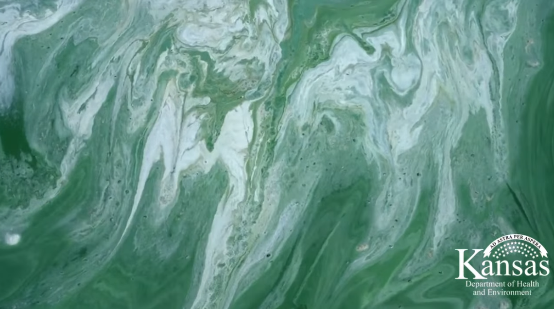 6 bodies of water could be unsafe in KS. What to know about toxic algal ...