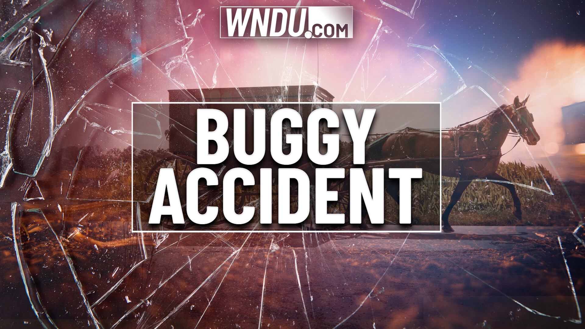 Woman accused of crashing into buggy, injuring four people including baby
