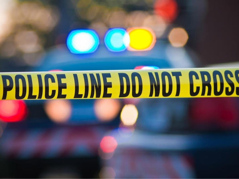 Human remains found at Sarasota construction site: Reports