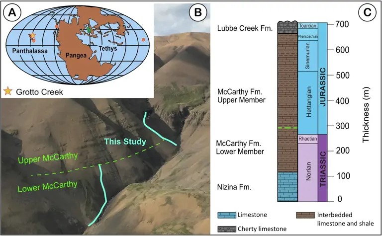 Ancient oceans started to suffocate 8 million years before the Triassic ...